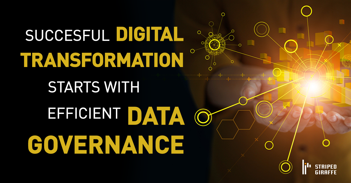 Data Governance - from data architecture to meta data and BI