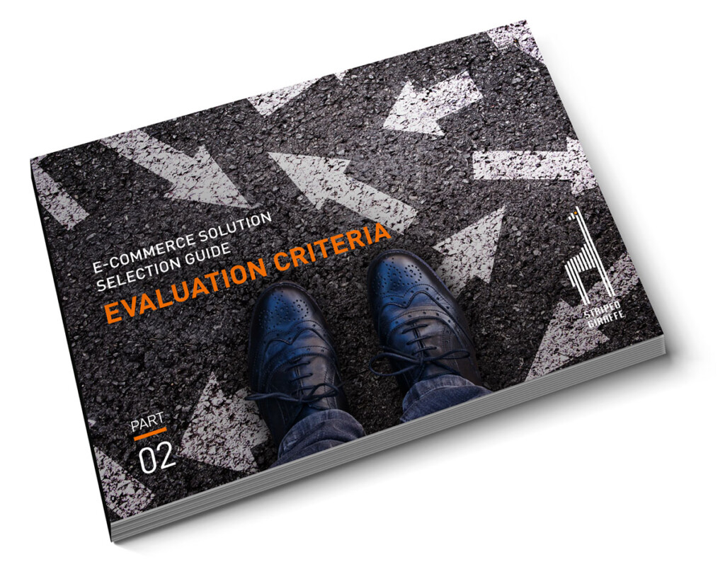 E-Commerce Guide Part 02 : Selecting the right solution