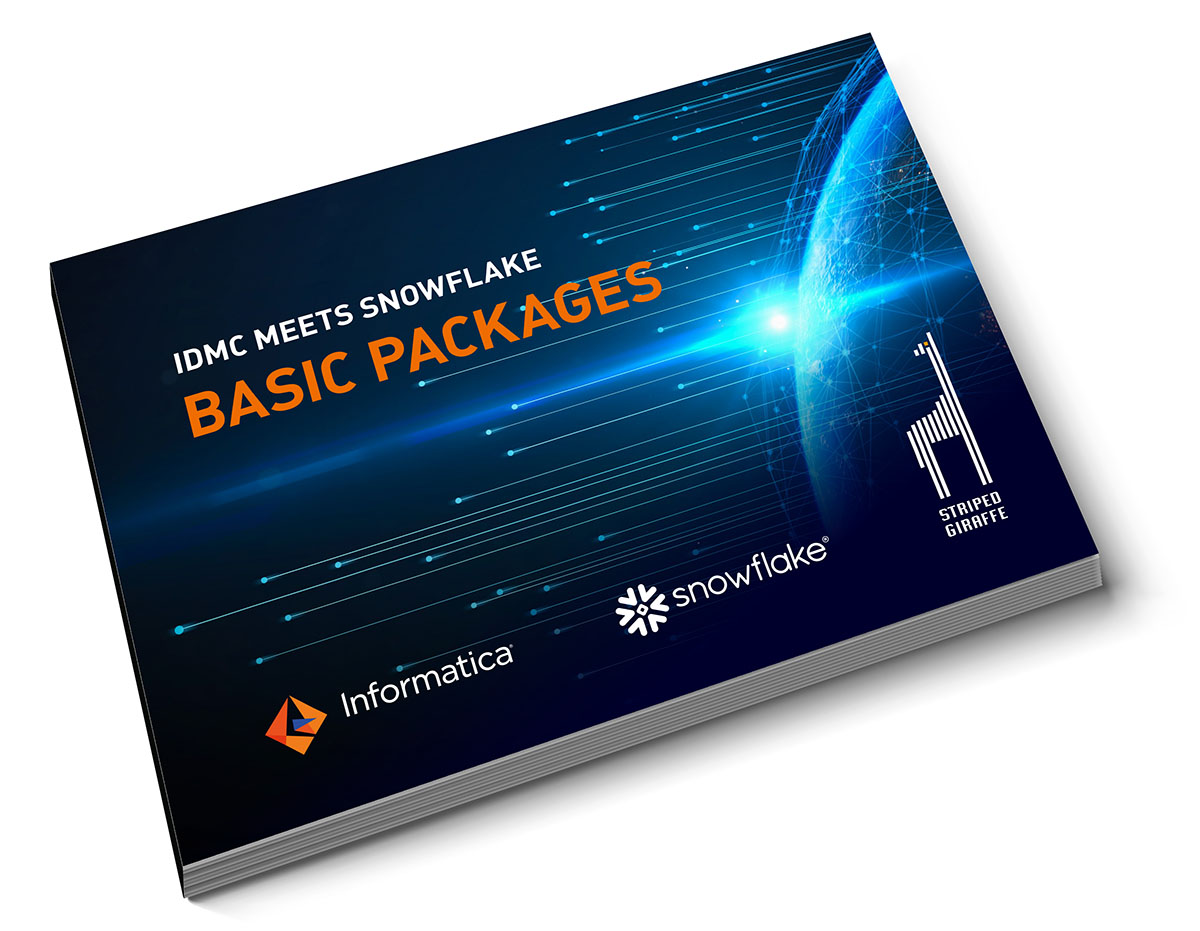 IDMC meets Snowflake: Unser Angebot für Sie