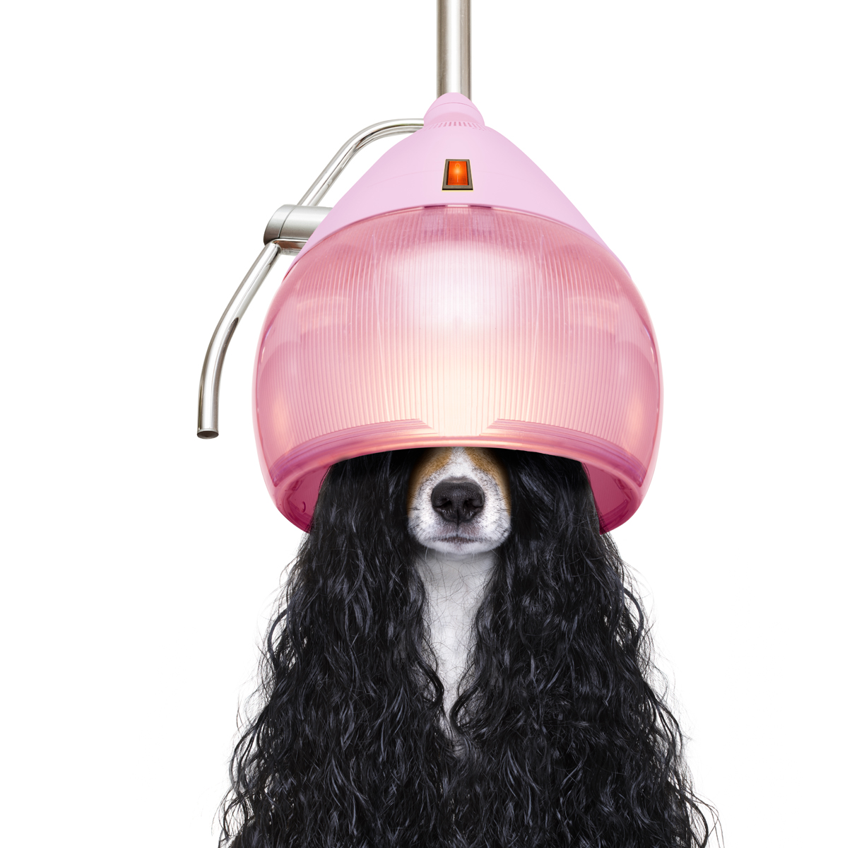 Culture & Values - Striped Giraffe