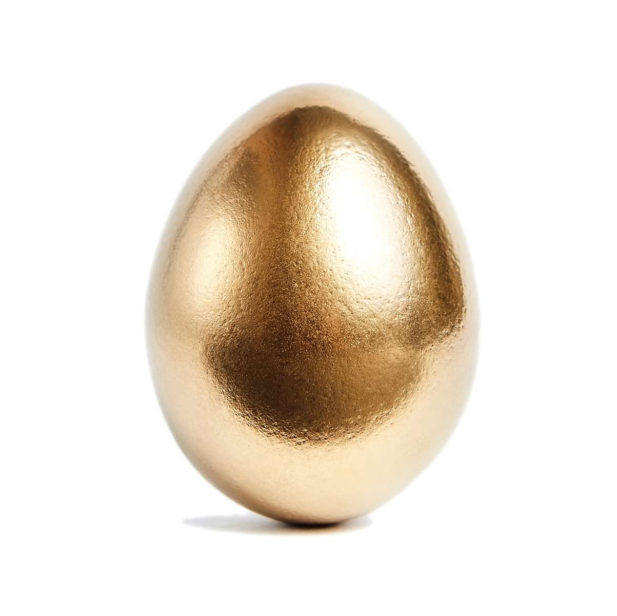 Culture & Values - Striped Giraffe