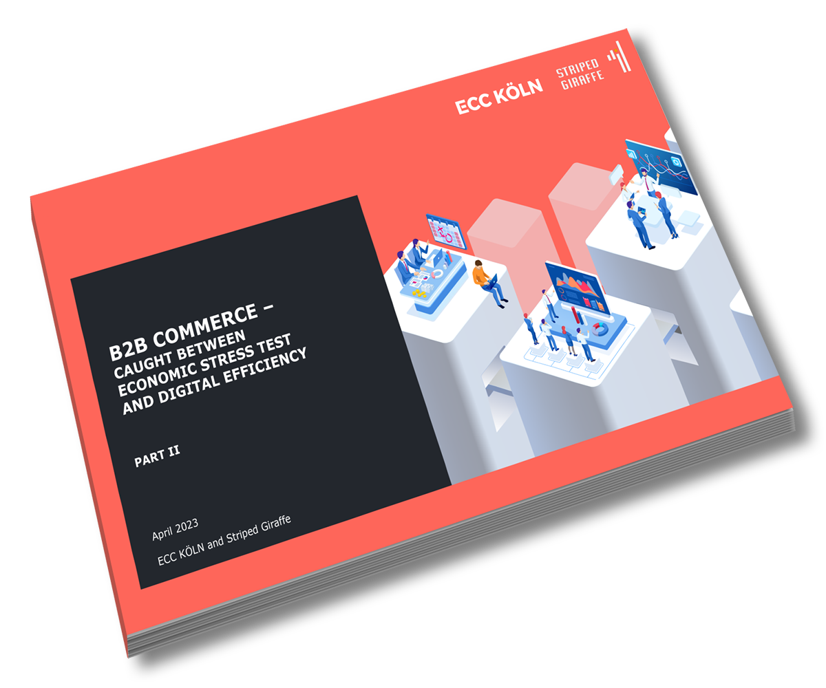 IT report: Digitization projects - challenges, and practical hints