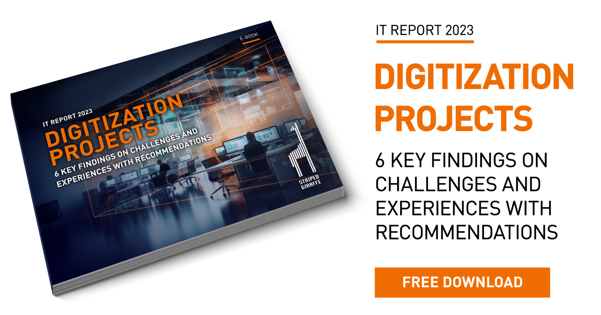 IT report: Digitization projects - challenges, and practical hints