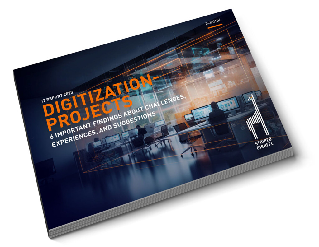IT report: Digitization projects - challenges, and practical hints
